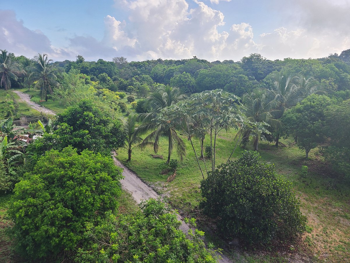 The Rs Farm Agri-Eco Retreat: A haven for relaxation and renewal
